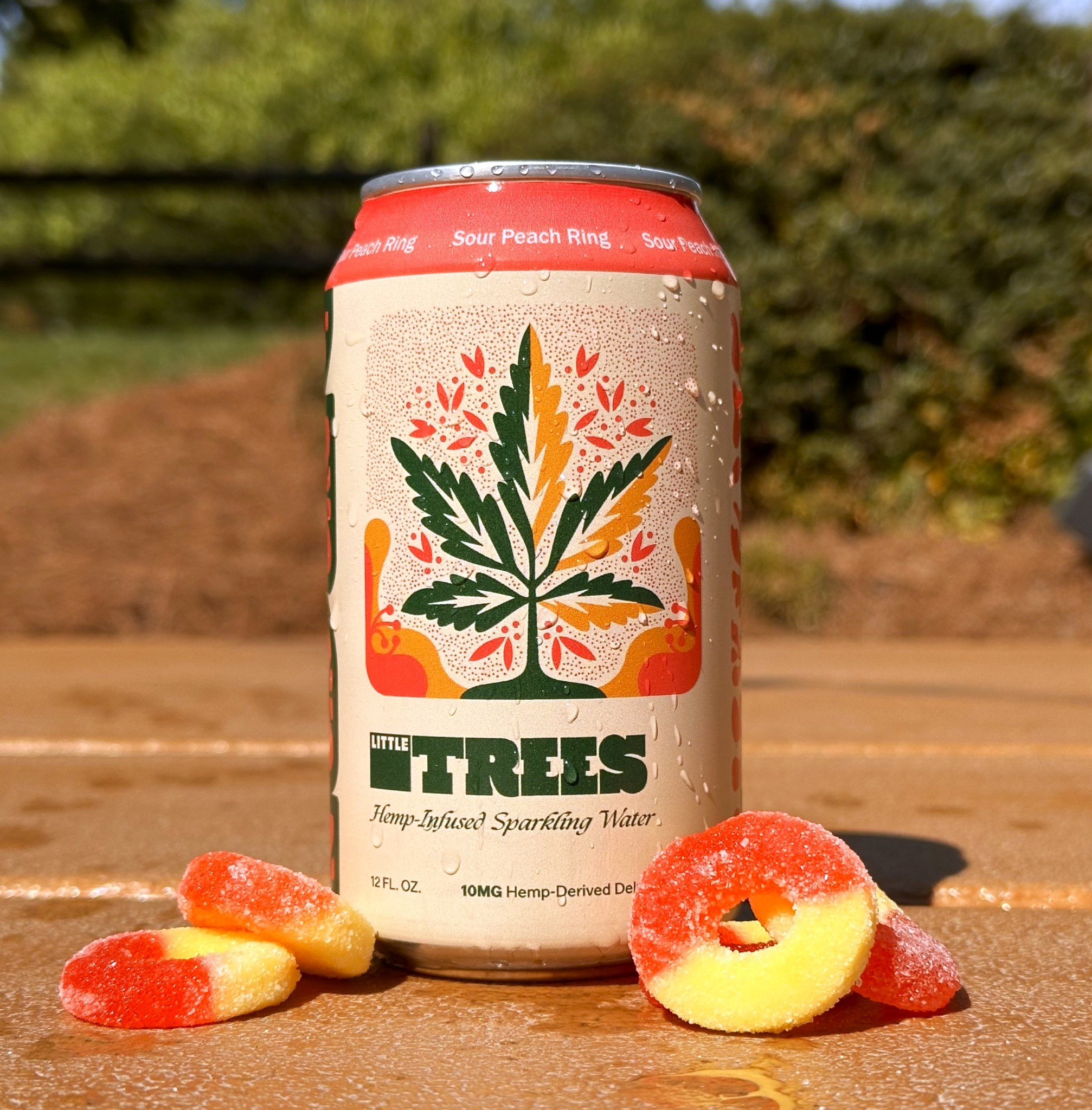 Little Trees Hemp-Infused Sparkling Waters – Life is best lived High ...