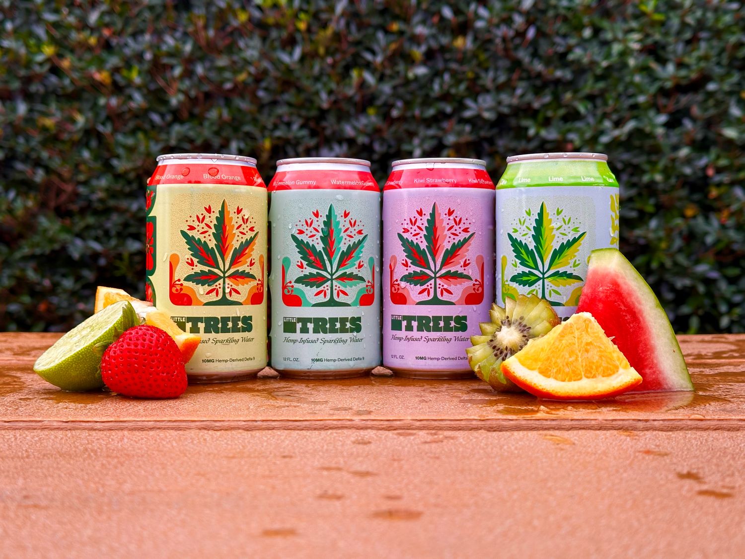Little Trees Hemp-Infused Sparkling Waters – Life is best lived High ...